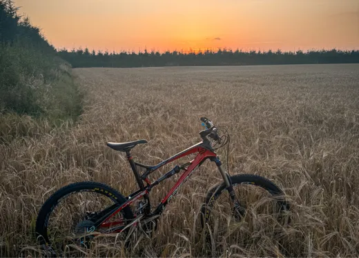 Coben09 | Published - MakerWorld