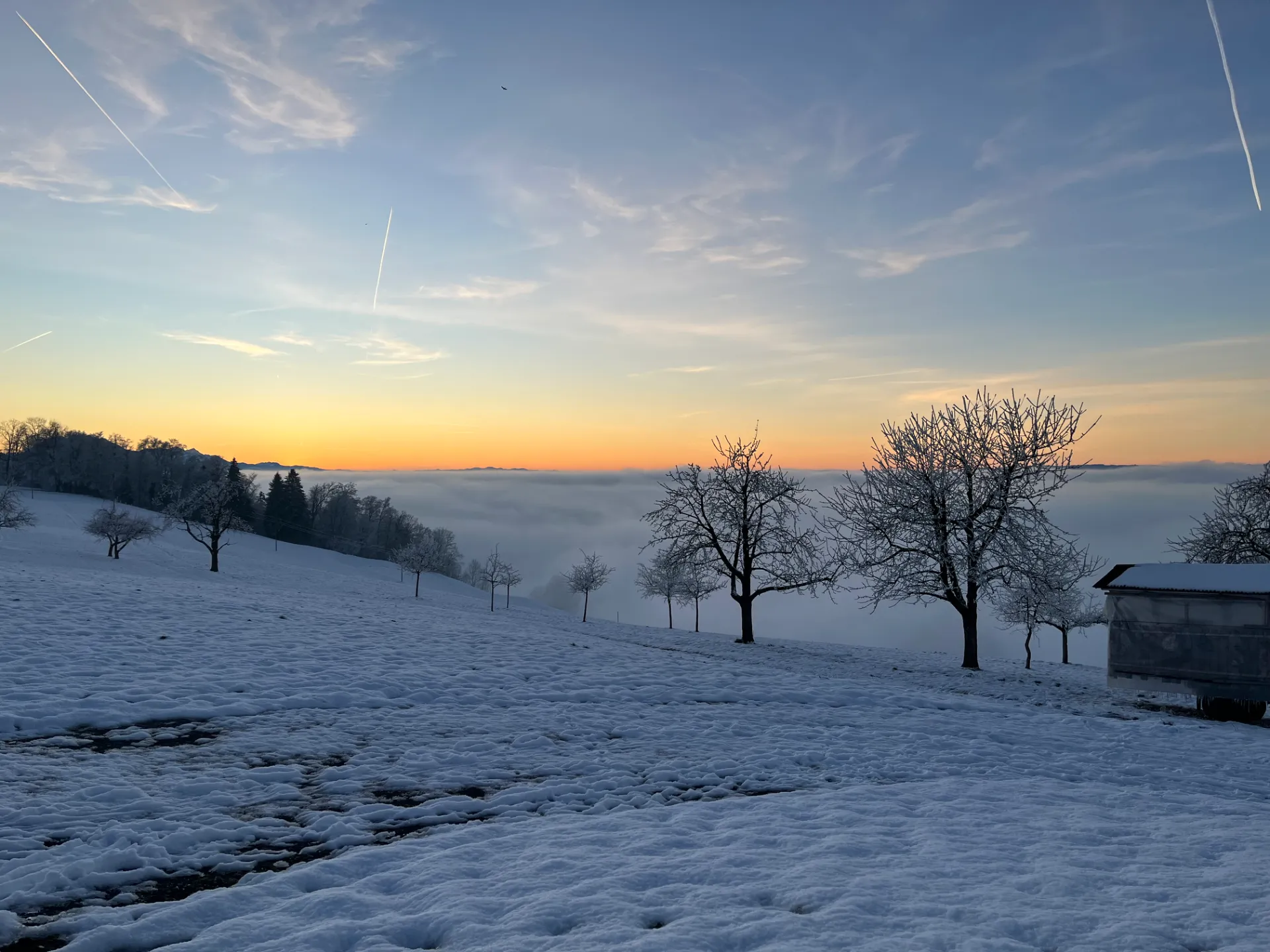 BoKi | Collections - MakerWorld