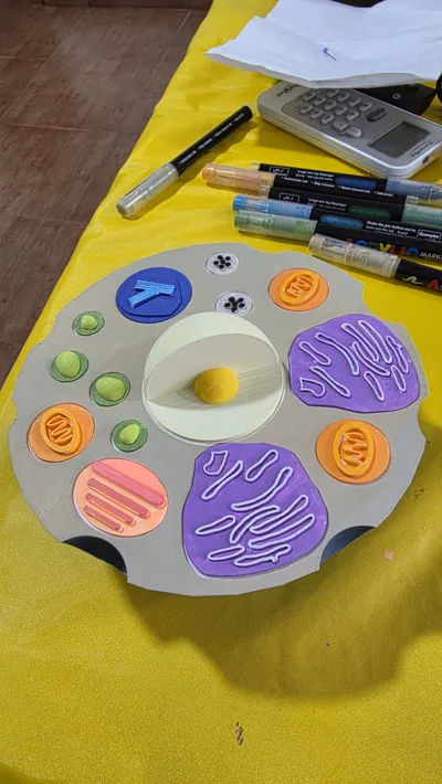Animal Cell - Free 3D Print Model - MakerWorld