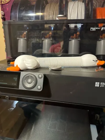 Flexi Goose with Spiral Neck Articulated Desk Toy - Free 3D Print Model ...