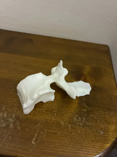 Fully Articulating Human Spine - Free 3D Print Model - MakerWorld