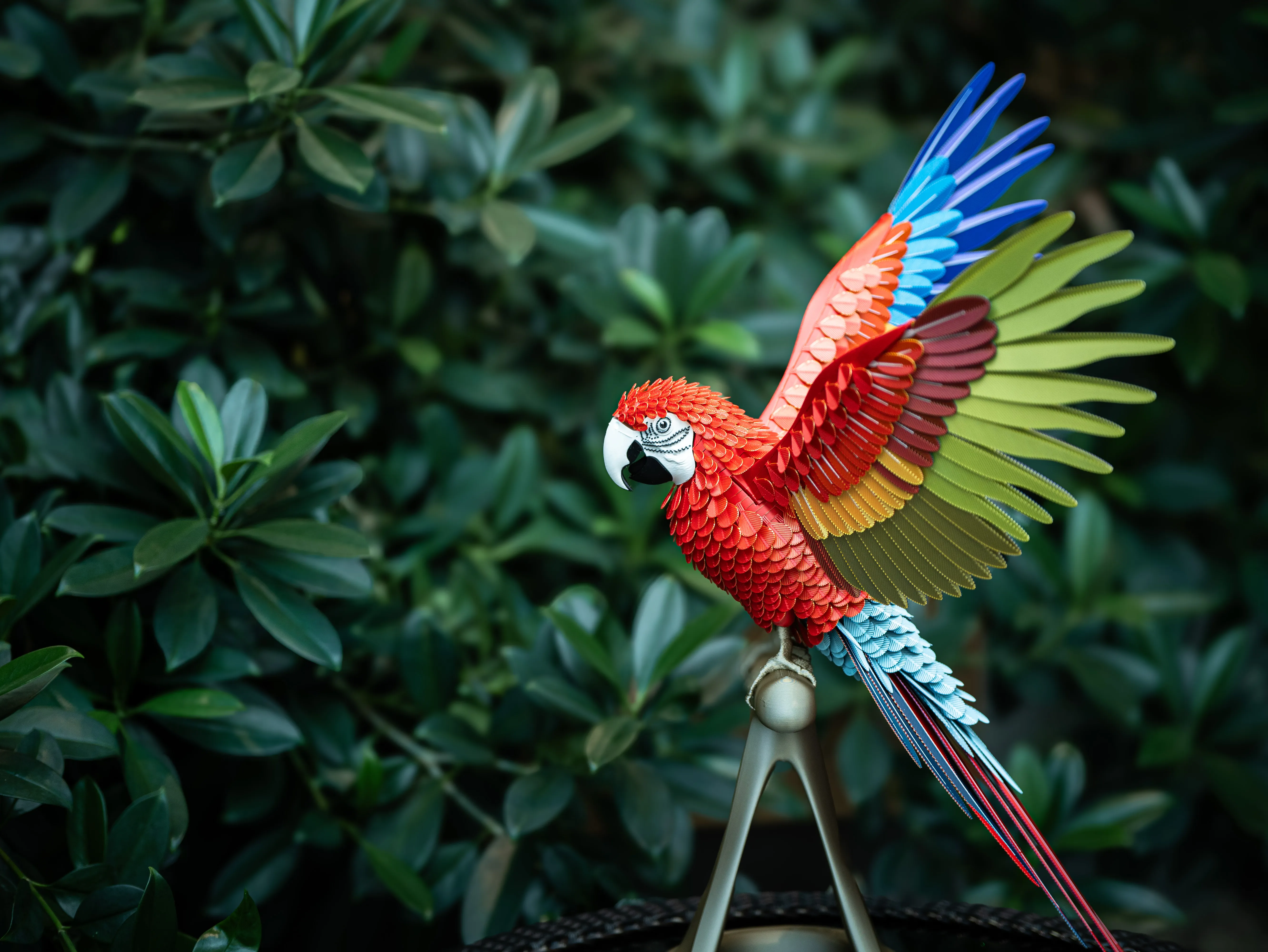 Assemble Lab: LifeSize Macaw by PandaN - MakerWorld