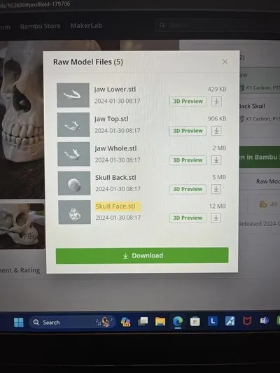 Human Skull Anatomically Correct Puzzle - Free 3D Print Model - MakerWorld