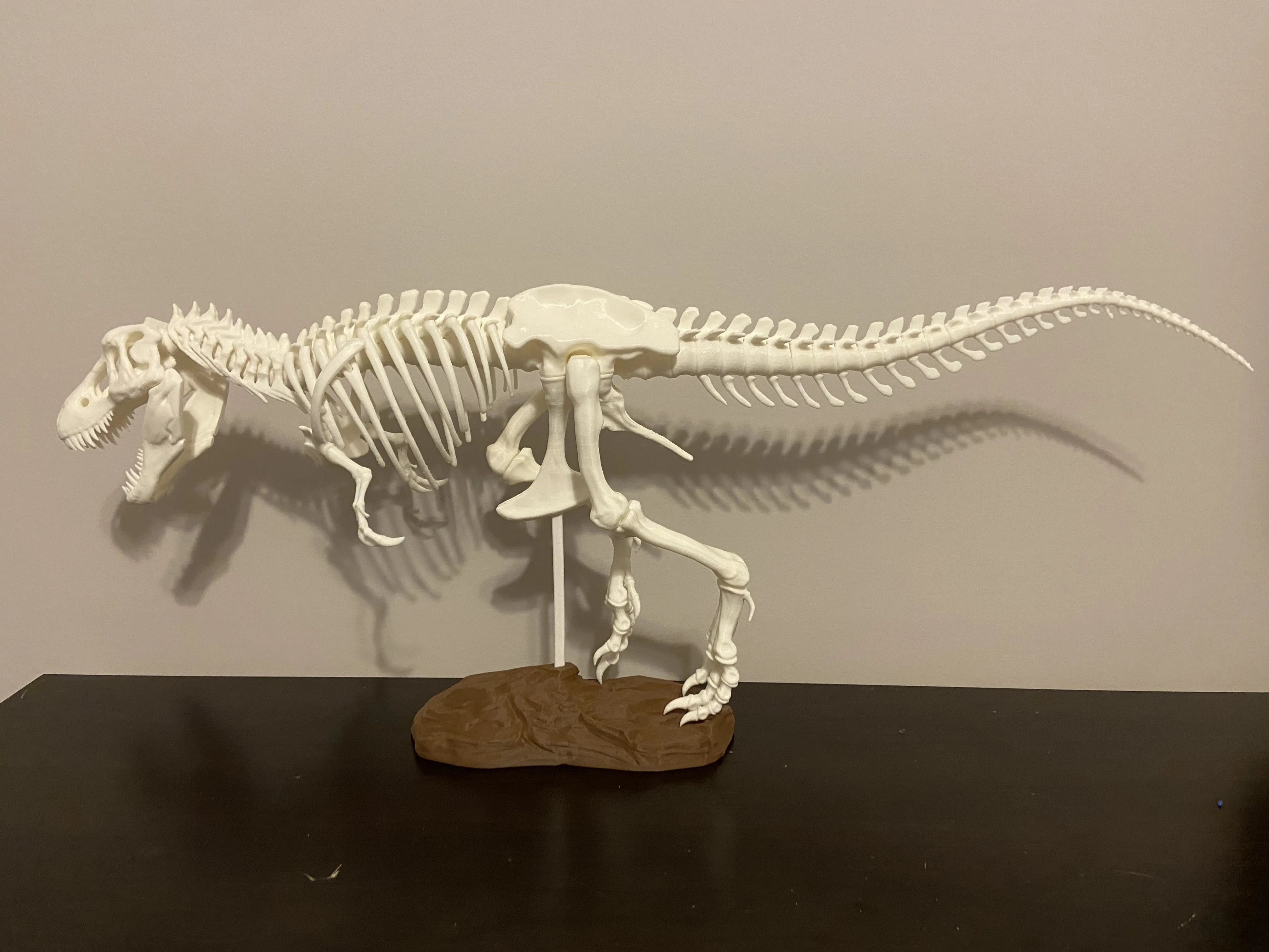 Reinforced T. rex Skeleton - fixed - Free 3D Print Model - MakerWorld