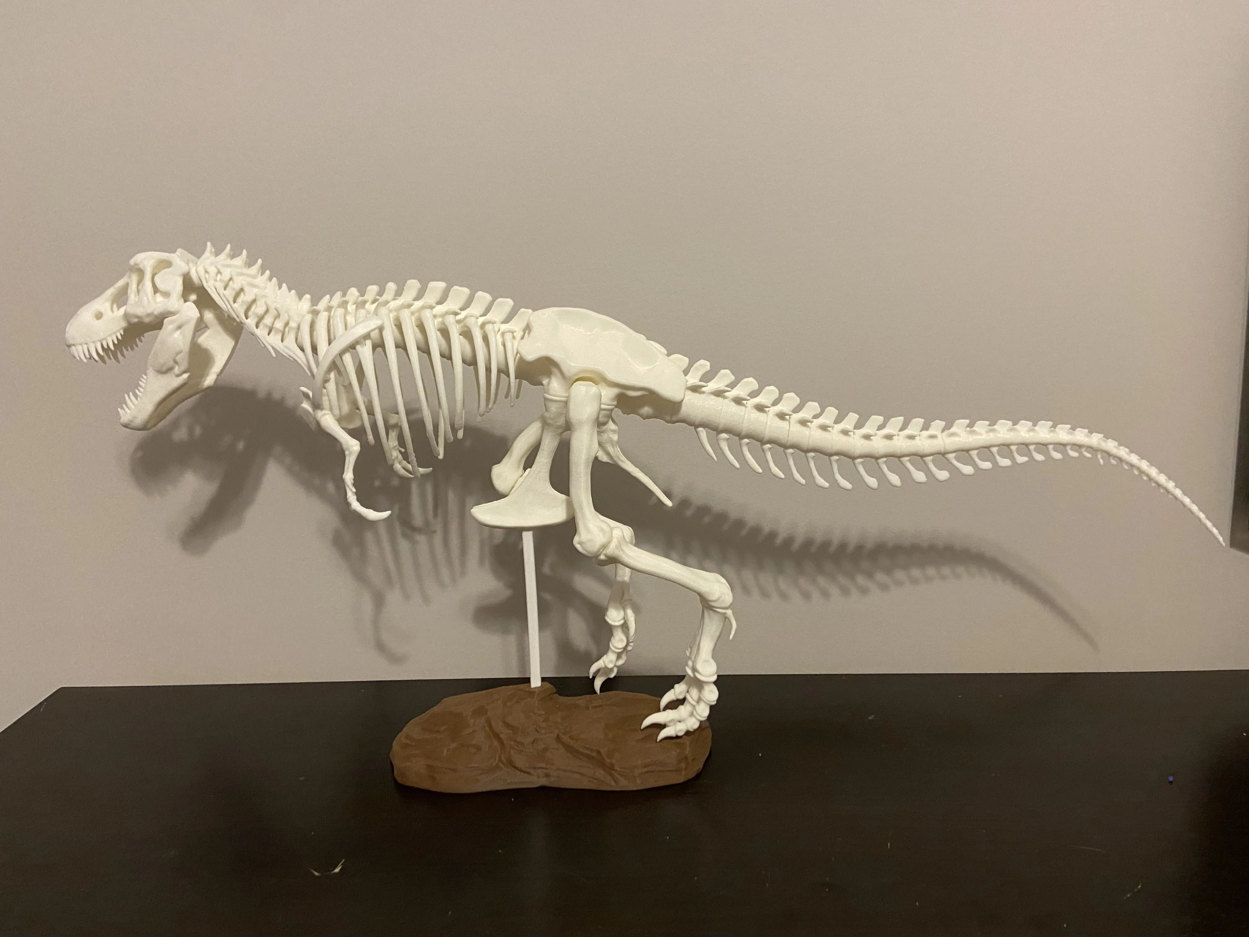 Reinforced T. rex Skeleton - fixed - Free 3D Print Model - MakerWorld