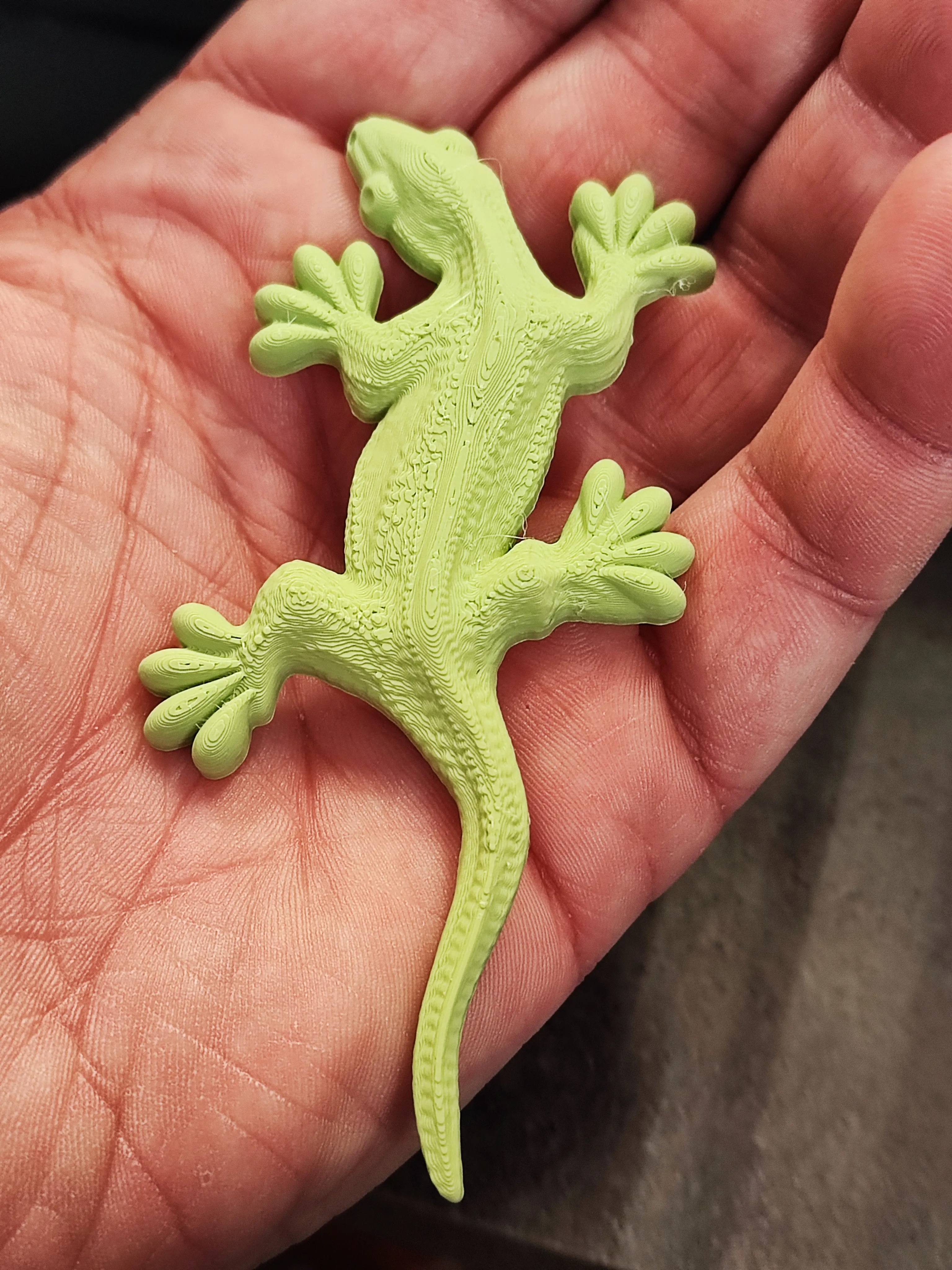 Gecko figure and magnet by Creatività in 3D - MakerWorld