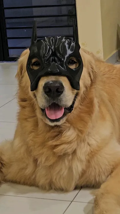 Batman Mask for Dogs by Doodle_Monkey MakerWorld: Download Free 3D Models