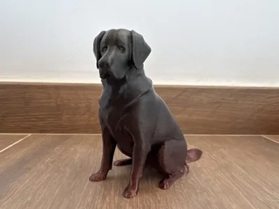 Black Labrador by Gulsifer MakerWorld: Download Free 3D Models