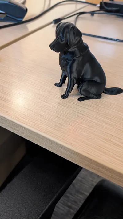 Black Labrador by Gulsifer MakerWorld: Download Free 3D Models