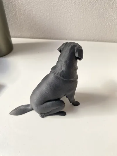 Black Labrador by Gulsifer MakerWorld: Download Free 3D Models