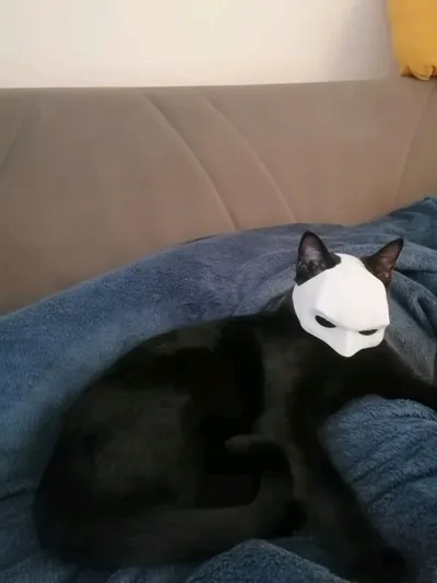 Batcat Mask by user_3729300690 MakerWorld: Download Free 3D Models