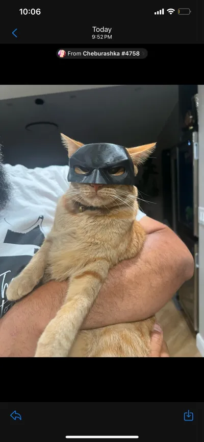 Batcat Mask by user_3729300690 MakerWorld: Download Free 3D Models