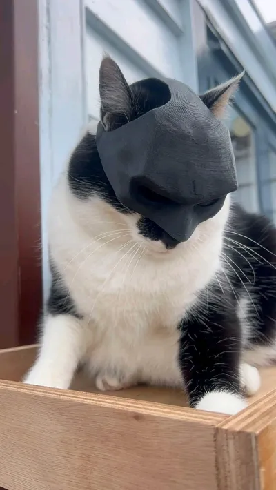 Batcat Mask by user_3729300690 MakerWorld: Download Free 3D Models