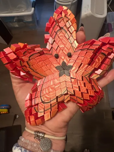 Sally The Symmetrical Flexi Starfish - Free 3D Print Model - MakerWorld