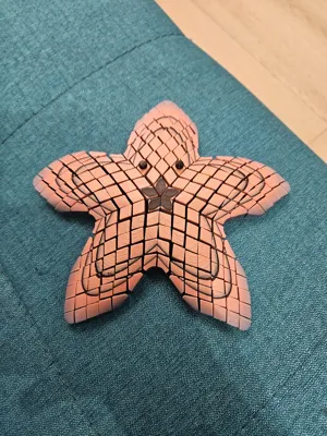 Sally The Symmetrical Flexi Starfish by 3D_Grandpa - MakerWorld