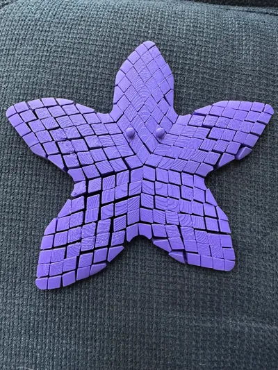 Sally The Symmetrical Flexi Starfish by 3D_Grandpa MakerWorld: Download ...