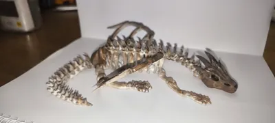 Articulated skeleton dragon by BT3D printing MakerWorld: Download Free ...