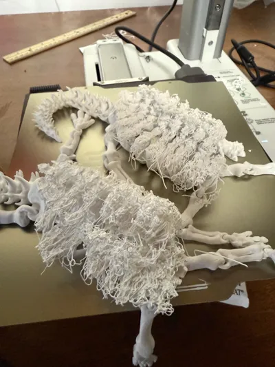 Articulated skeleton dragon by BT3D printing MakerWorld: Download Free 3D Models