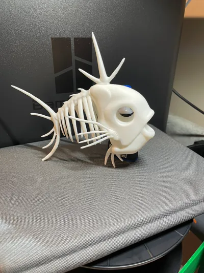 magikarp skeleton by 3d_lizard MakerWorld: Download Free 3D Models