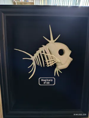 magikarp skeleton by 3d_lizard MakerWorld: Download Free 3D Models