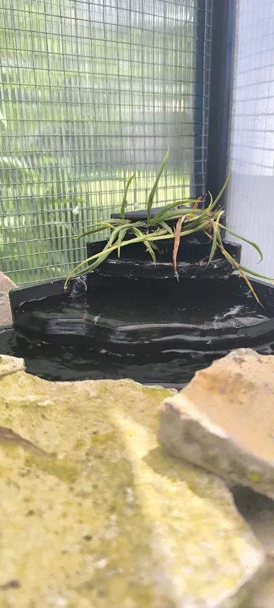 Small Terrarium Water Fall - Free 3D Print Model - MakerWorld