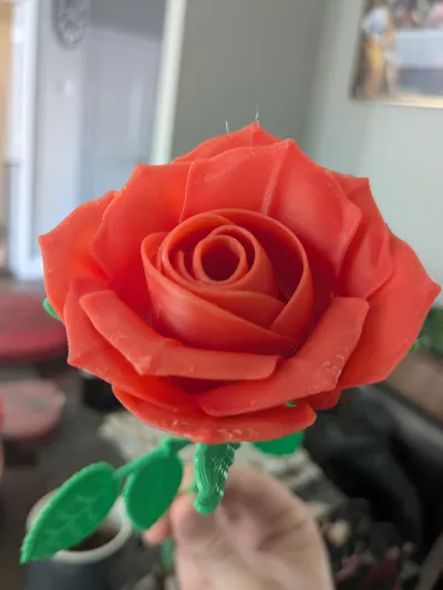 Large Realistic Roses Remixed by Just say no to poop - MakerWorld
