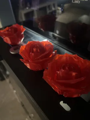 Large Realistic Roses Remixed by Just say no to poop - MakerWorld