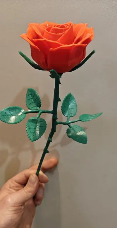 Large Realistic Roses Remixed by Just say no to poop - MakerWorld