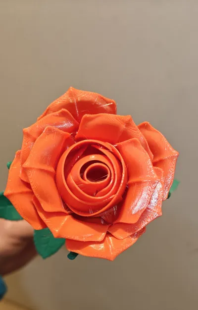 Large Realistic Roses Remixed by Just say no to poop - MakerWorld