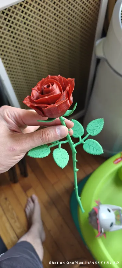 Large Realistic Roses Remixed by Just say no to poop MakerWorld ...