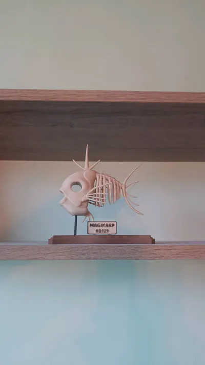 Display Base for Magikarp Skeleton by rky.91 MakerWorld: Download Free ...