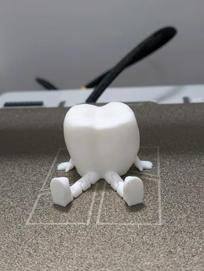 Articulated Tooth (Molar) Flexi Buddy Dentist Gift - Free 3D Print ...