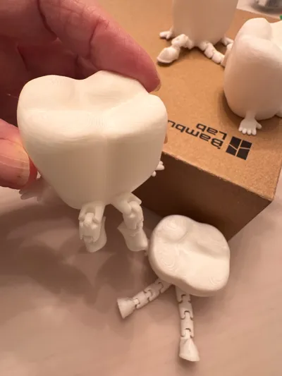 Articulated Tooth (Molar) Flexi Buddy Dentist Gift - Free 3D Print ...