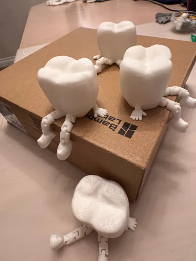 Articulated Tooth (Molar) Flexi Buddy Dentist Gift - Free 3D Print ...