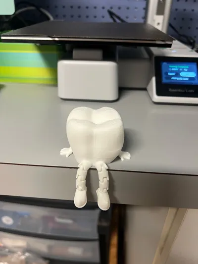 Articulated Tooth (Molar) Flexi Buddy Dentist Gift by Ireality ...