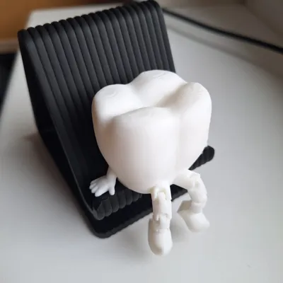 Articulated Tooth (Molar) Flexi Buddy Dentist Gift by Ireality ...