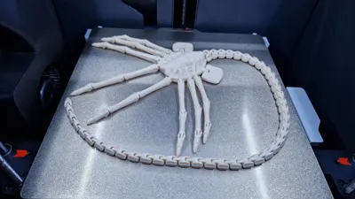 Flexi Facehugger LONGER TAIL! Xenomorph Alien VS Predator Articulated ...