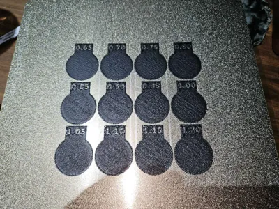 Initial Layer Flow Ratio - Calibration Test by Sdot Prints MakerWorld ...