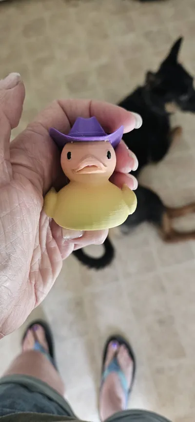 Cowboy Duck - Free 3D Print Model - MakerWorld