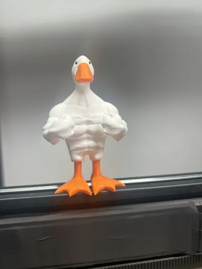 Muscled Mighty Duck (Separate Parts Print) by user_3756321400 - MakerWorld