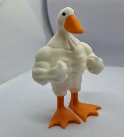 Muscled Mighty Duck (Separate Parts Print) by user_3756321400 - MakerWorld