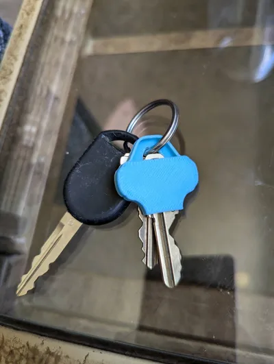 Schlage Primus Key Cover by Lovelace Creative Co. MakerWorld: Download ...