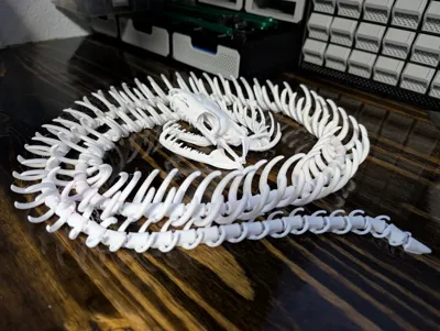 Articulated Snake Skeleton by MagniModels MakerWorld: Download Free 3D ...