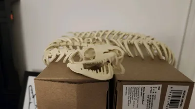 Articulated Snake Skeleton by MagniModels MakerWorld: Download Free 3D ...