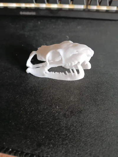 Articulated Snake Skeleton by MagniModels MakerWorld: Download Free 3D ...