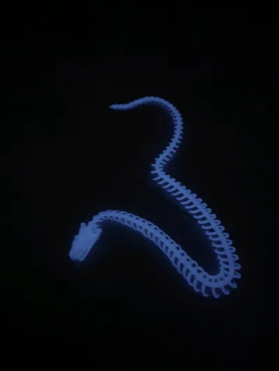 Articulated Snake Skeleton by MagniModels MakerWorld: Download Free 3D ...