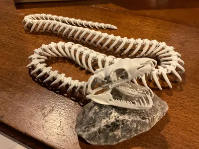 Articulated Snake Skeleton by MagniModels MakerWorld: Download Free 3D ...