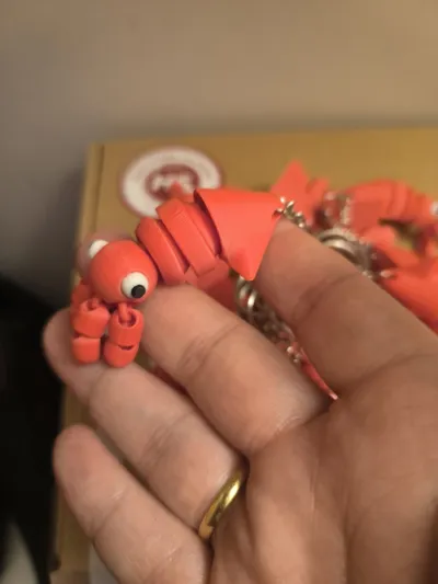 Flexi Cute Squid Keychain by ilya91 MakerWorld: Download Free 3D Models