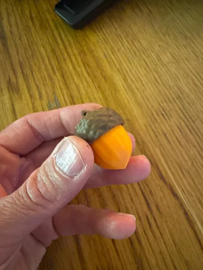 Acorn clicker by IDMyron MakerWorld: Download Free 3D Models