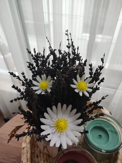 Daisies | Modular Flowers 01 by Maerc - MakerWorld